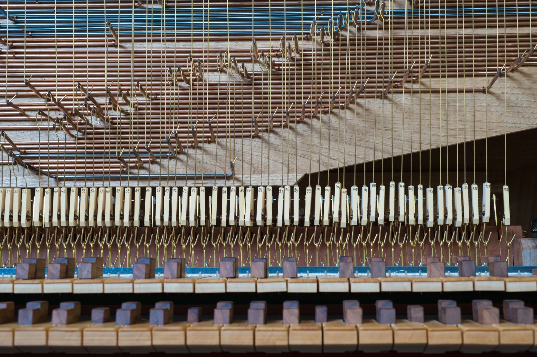 Instruments — Studio31+