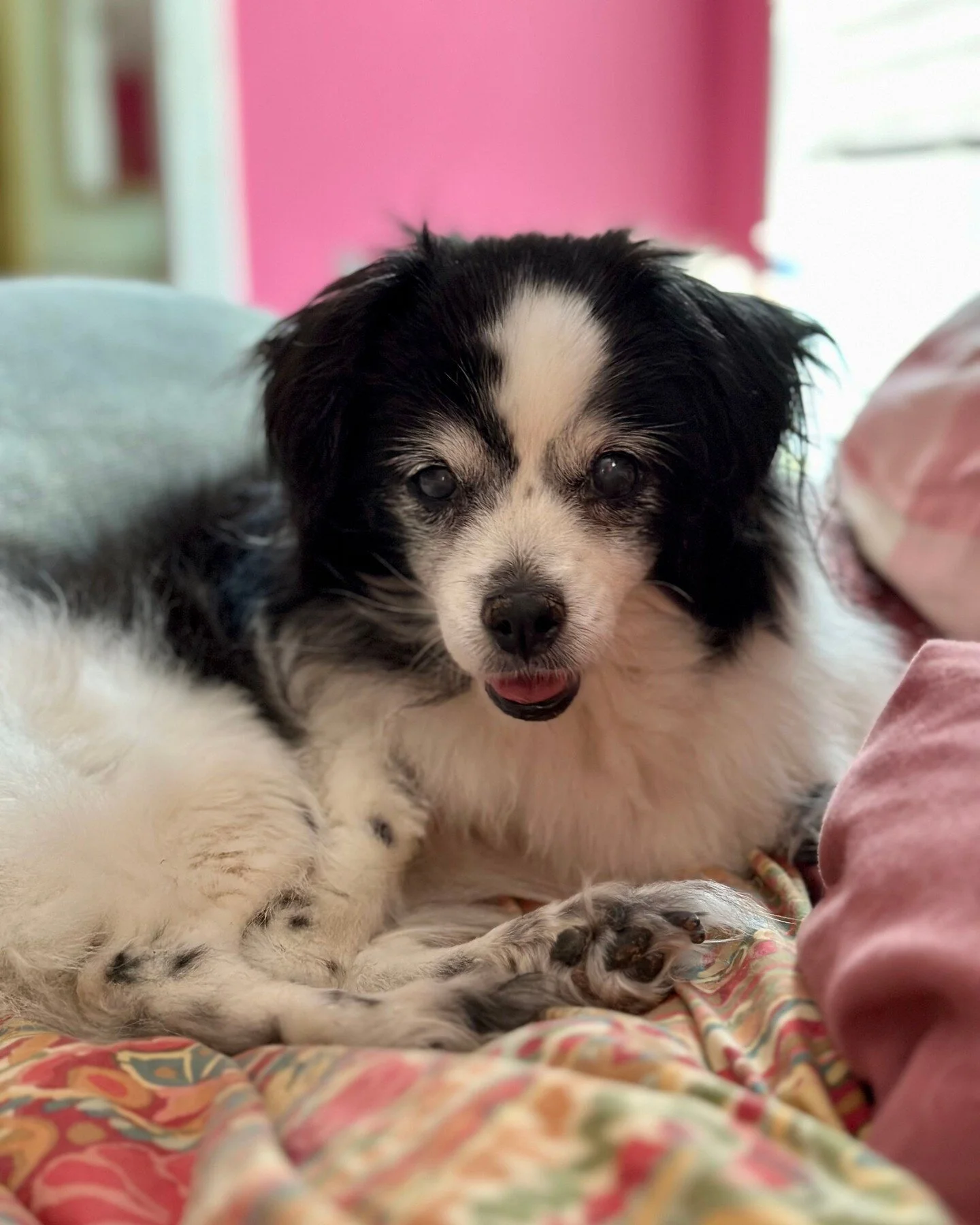 Rambling Rose Ranch | An affordable wedding venue in Austin