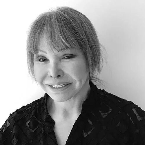 What We Do — Paul Rudolph Institute for Modern Architecture