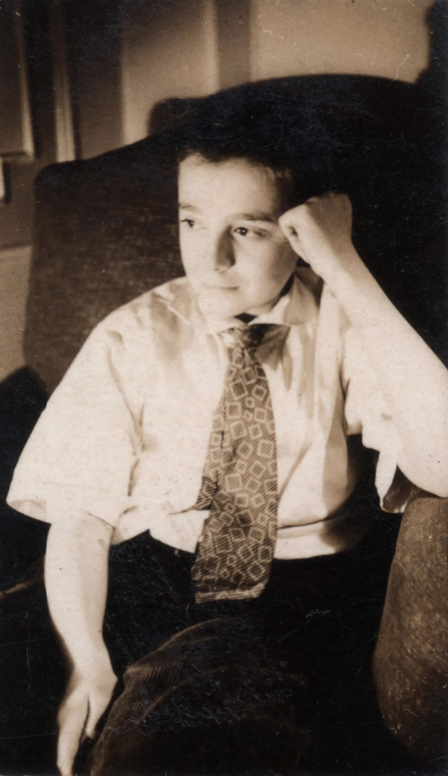 Andrew Geller Biography — Paul Rudolph Institute for Modern Architecture