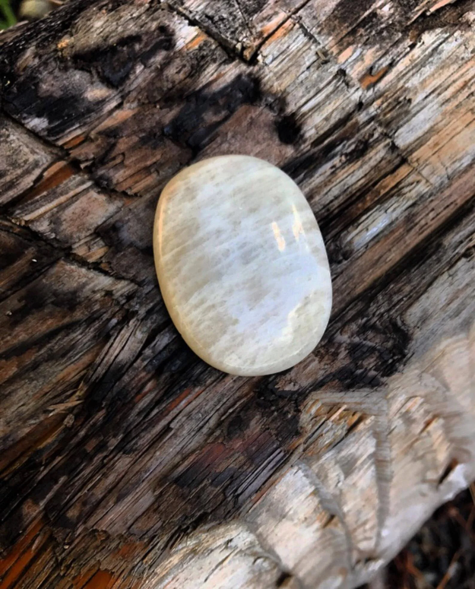 Lemon Cleansing Ritual Spell — KilmainCrystals
