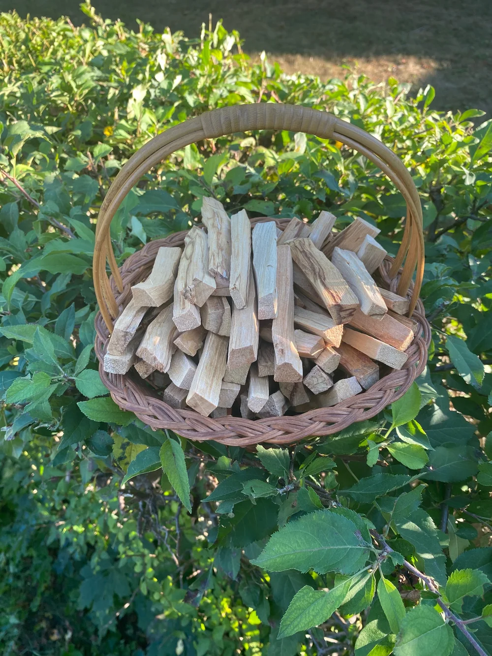 How to Make a Money Bowl for Abundance and Wealth — KilmainCrystals