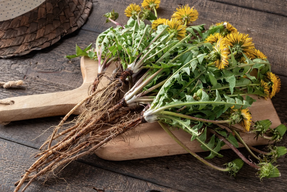 The Magical Uses of Dandelion - A Guide to Its Spiritual and Practical ...
