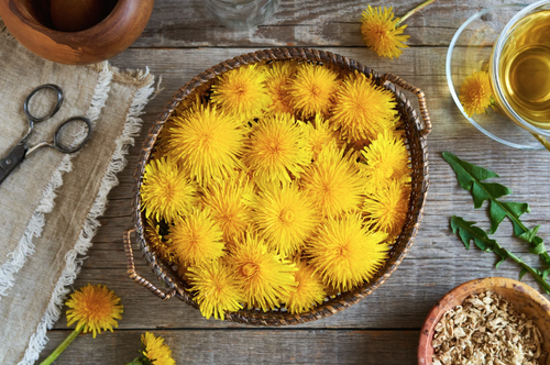 The Magical Uses of Dandelion - A Guide to Its Spiritual and Practical ...