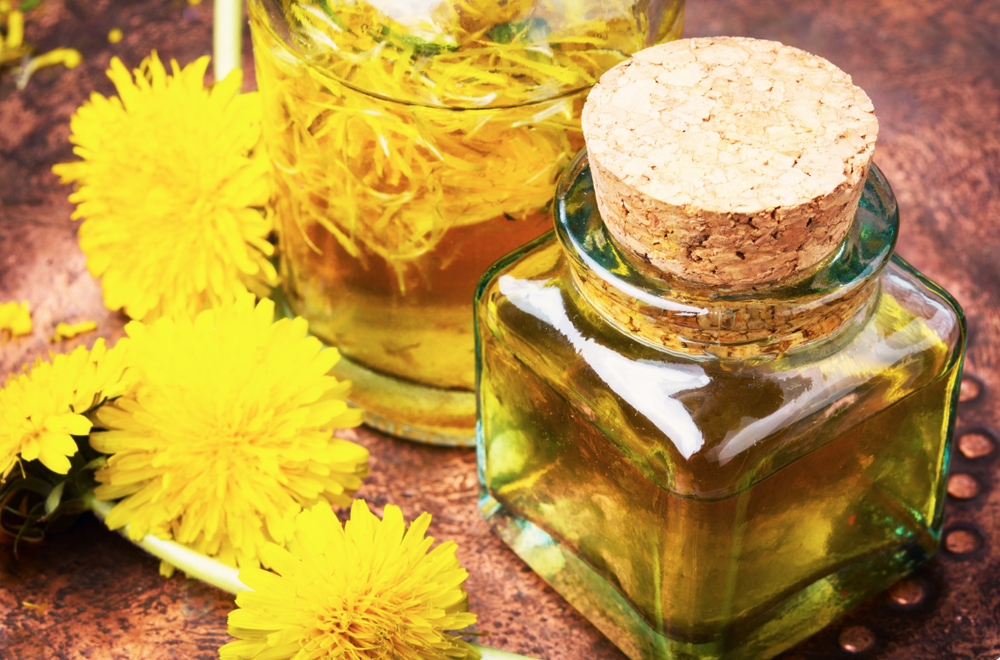 The Magical Uses of Dandelion - A Guide to Its Spiritual and Practical ...
