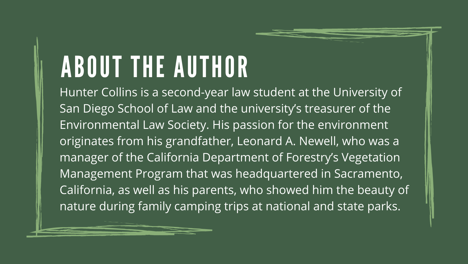 Preserving the Andean Paper Tree — Defend Them All Foundation