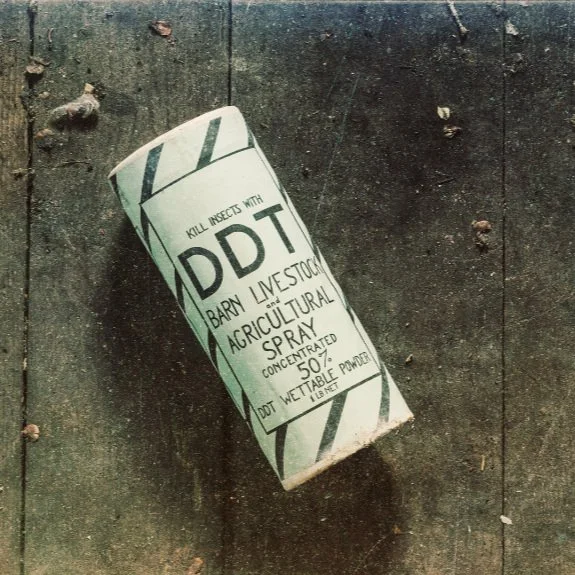 DTA Submits Petition to List the Tope Shark under the U.S. Endangered ...