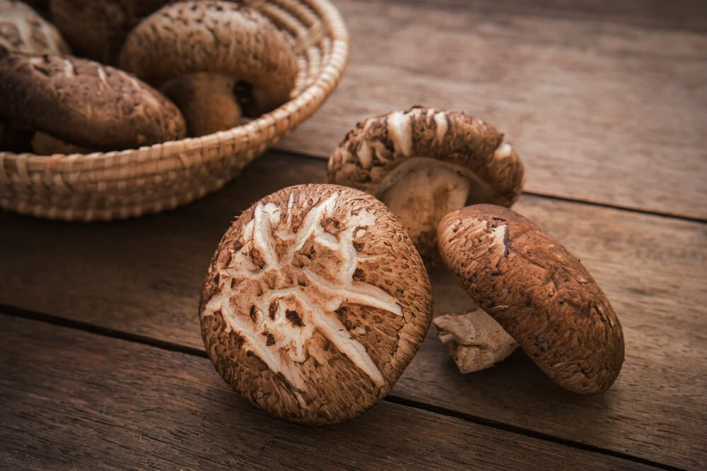 Magnical-D - A Better Alternative for Calcium Supplements