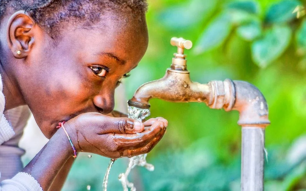 Puritii Water Filter: A Comprehensive Guide to Filtration Process