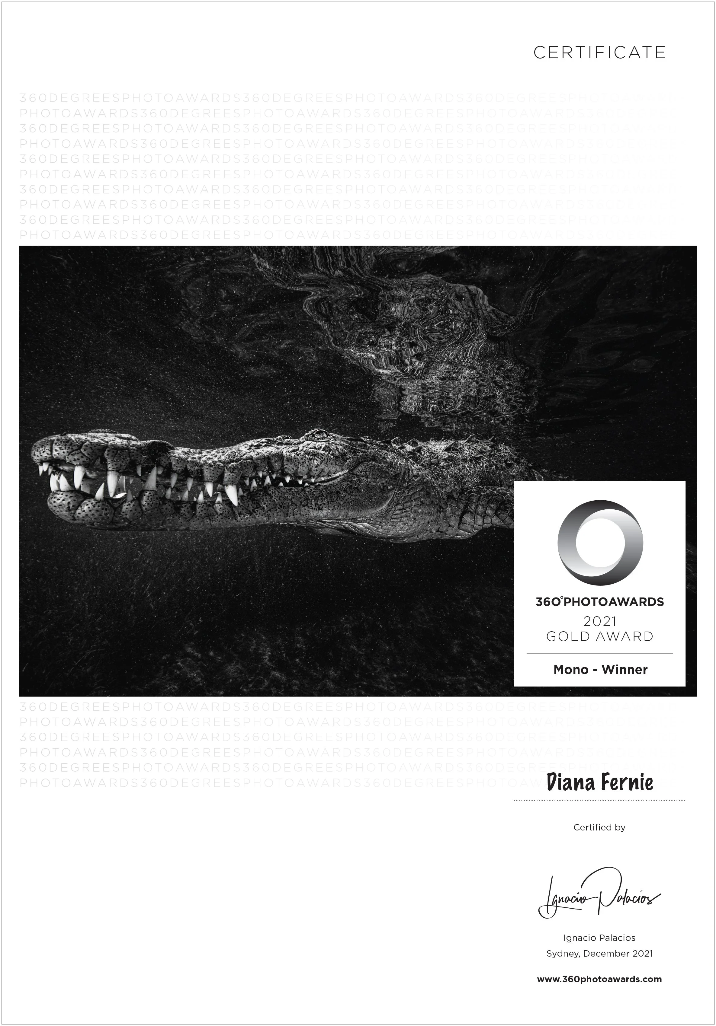 Bio — Ocean in Colour