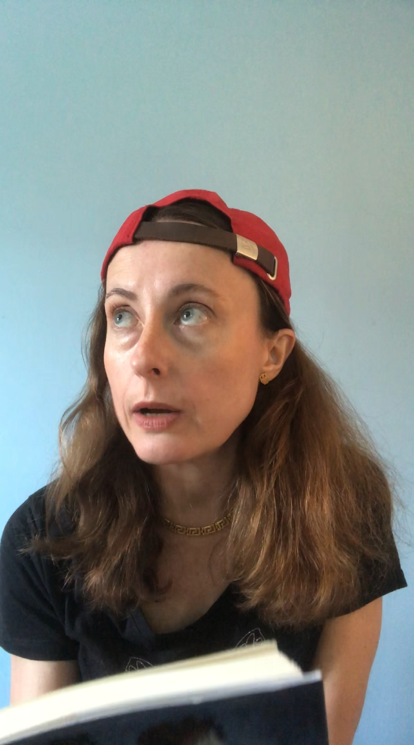 Odyssey-A-Day Mini Readings — Emily Wilson
