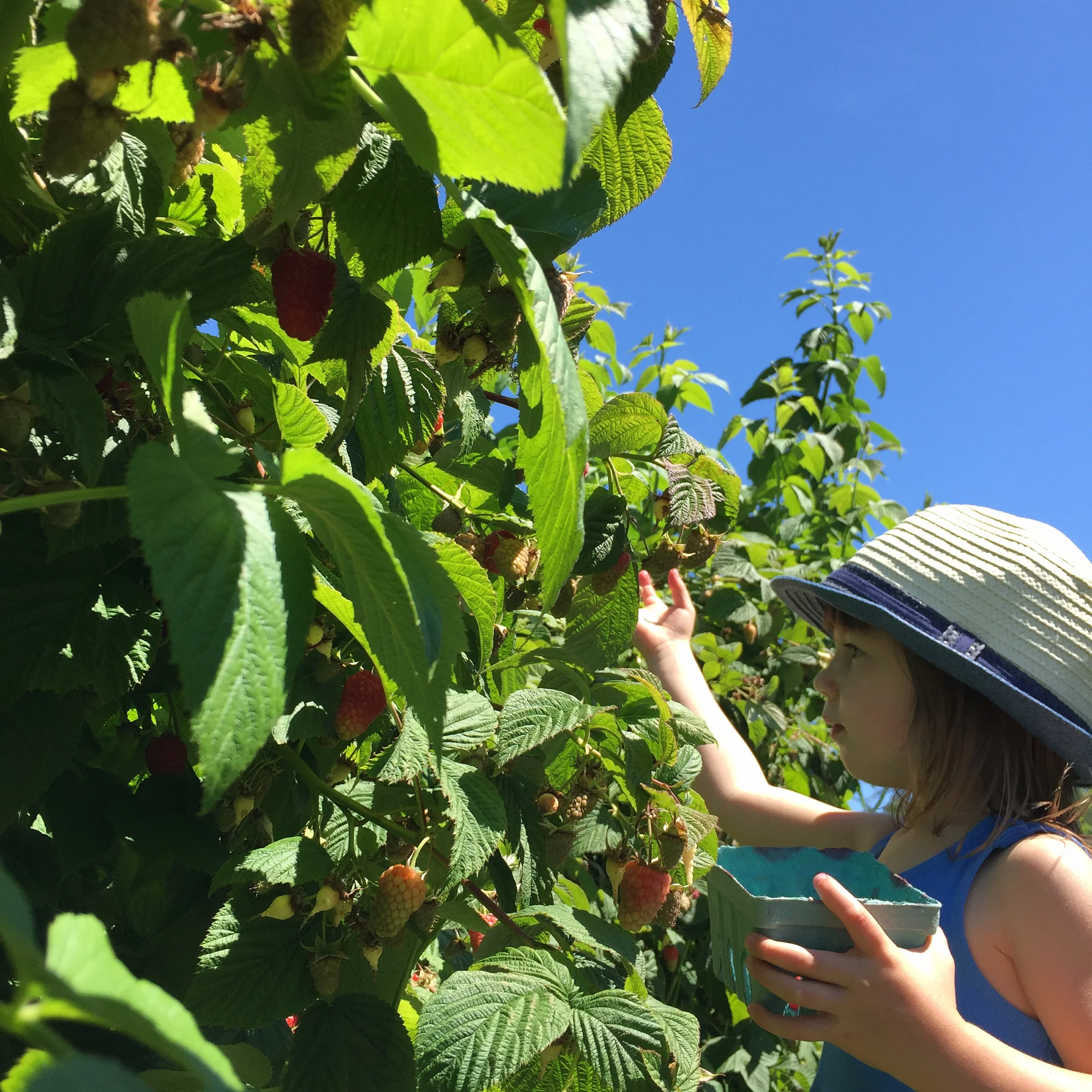 Classes for Kids — cookshop