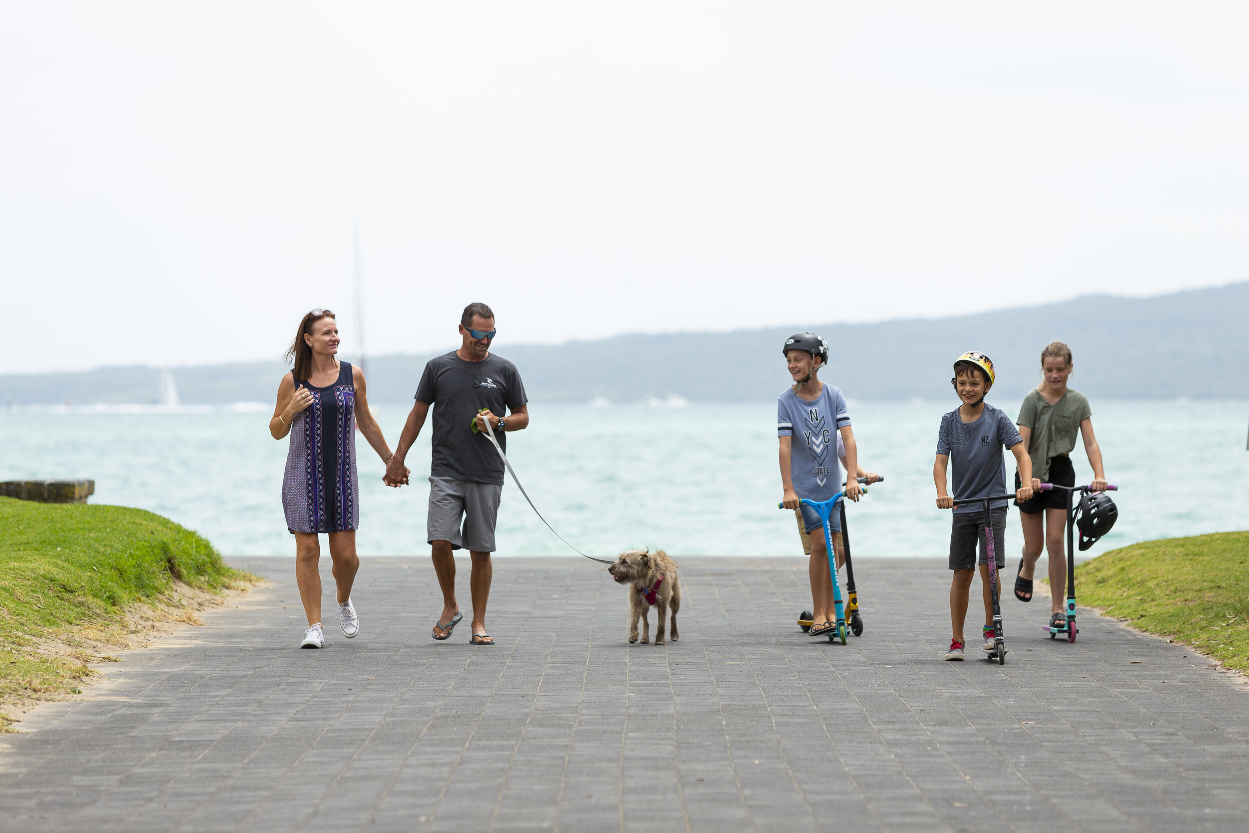 What's On In Mission Bay — Mission Bay