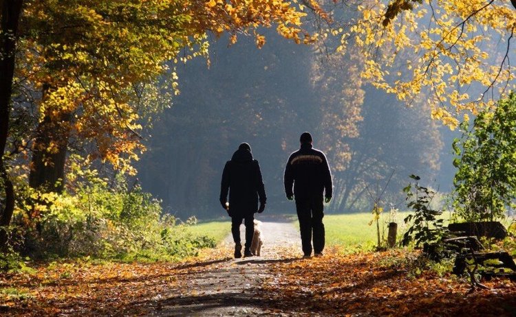 Counseling — Bit of Hope Ranch