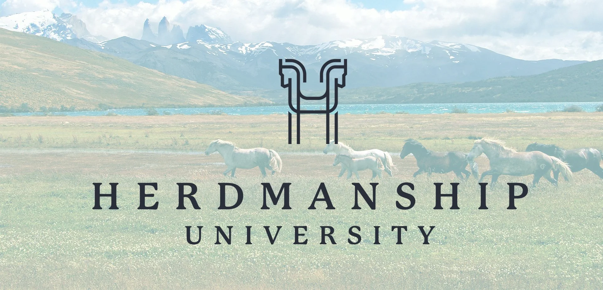 Counseling — Bit of Hope Ranch