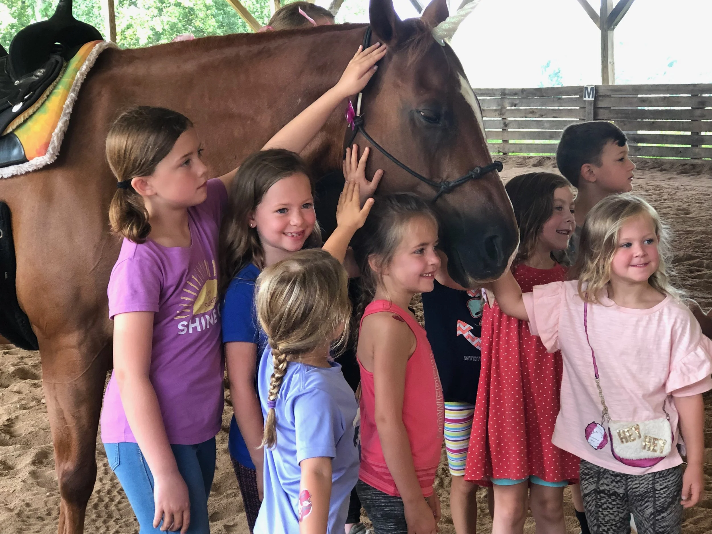 Celebrations and Parties — Bit of Hope Ranch