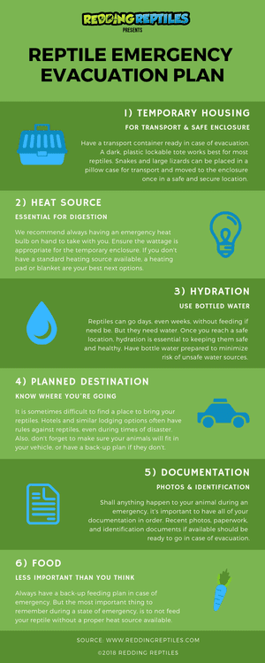 Reptile Emergency Evacuation and Care Plan — Redding Reptiles