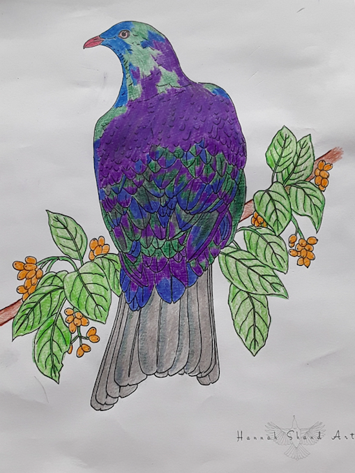 Colouring Competition Winners! — Hannah Shand Art
