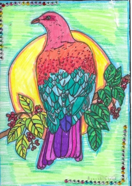 Colouring Competition Winners! — Hannah Shand Art