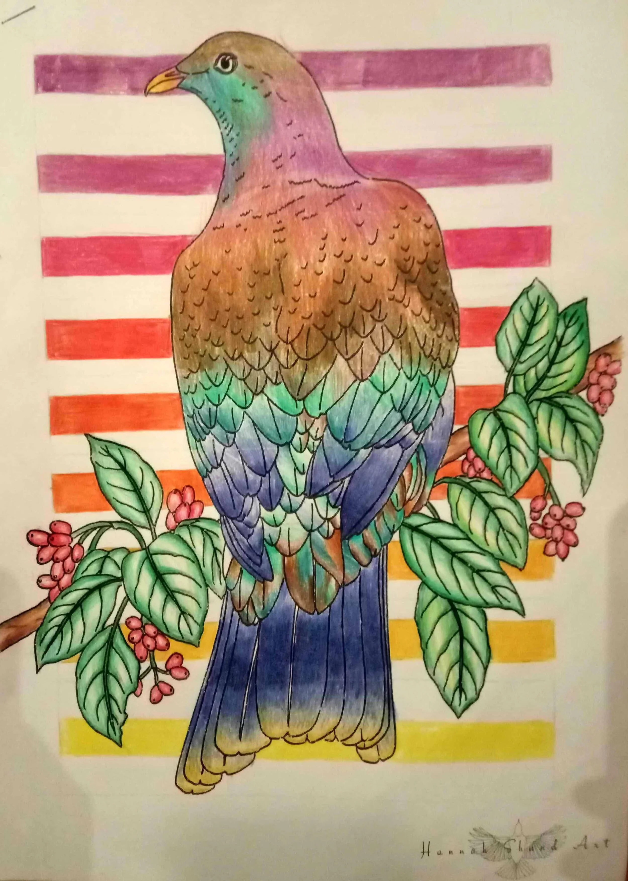 Colouring Competition Winners! — Hannah Shand Art