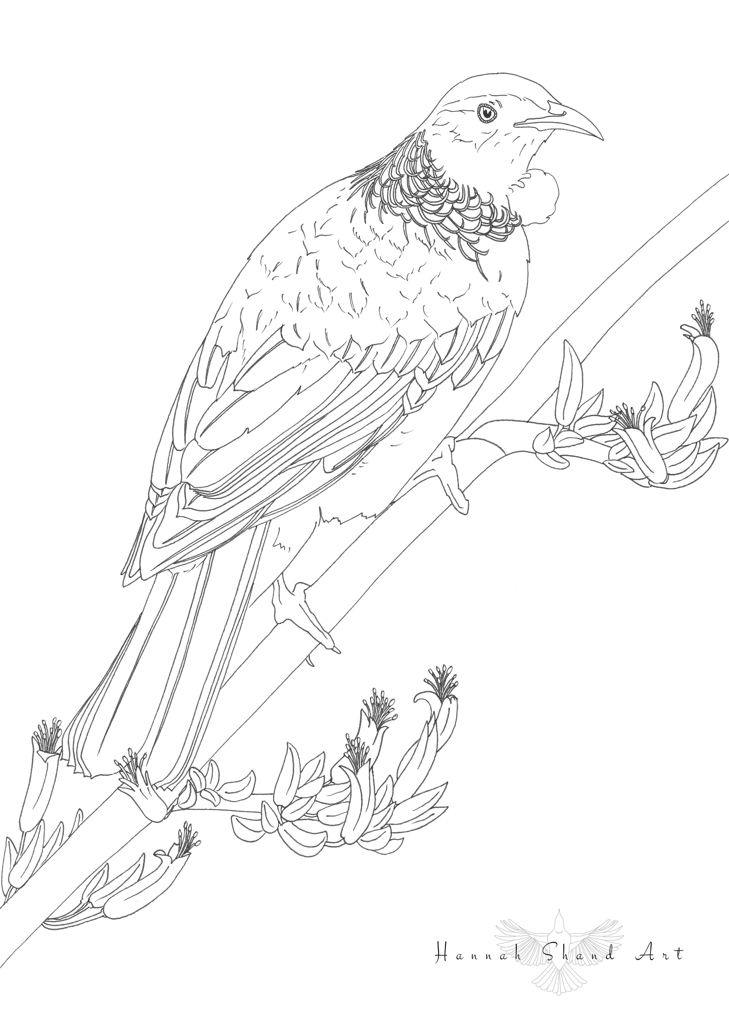 NZ bird colouring competition (Tui)- prints and Staedtler art supplies ...