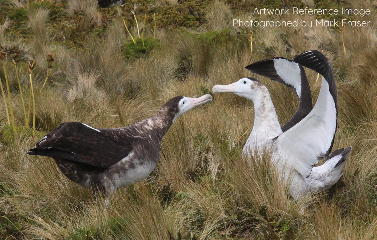 NZ native bird art prints - 'Welcome Home' Antipodes albatross toroa ...