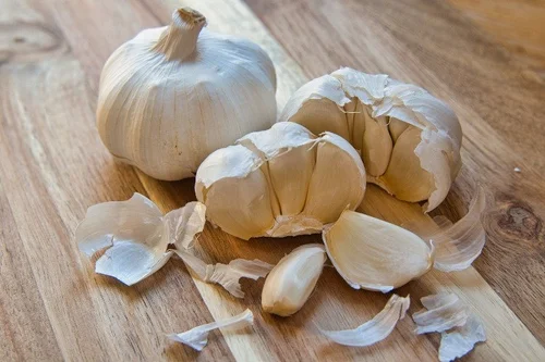 The Science of Garlic: Everything You Need to Know About Your Favorite ...