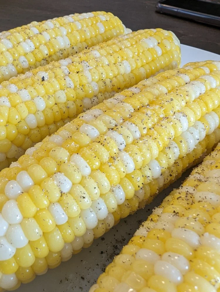 Sous Vide Cooking for Beginners | Recipes & Tips | Mediocre Chef