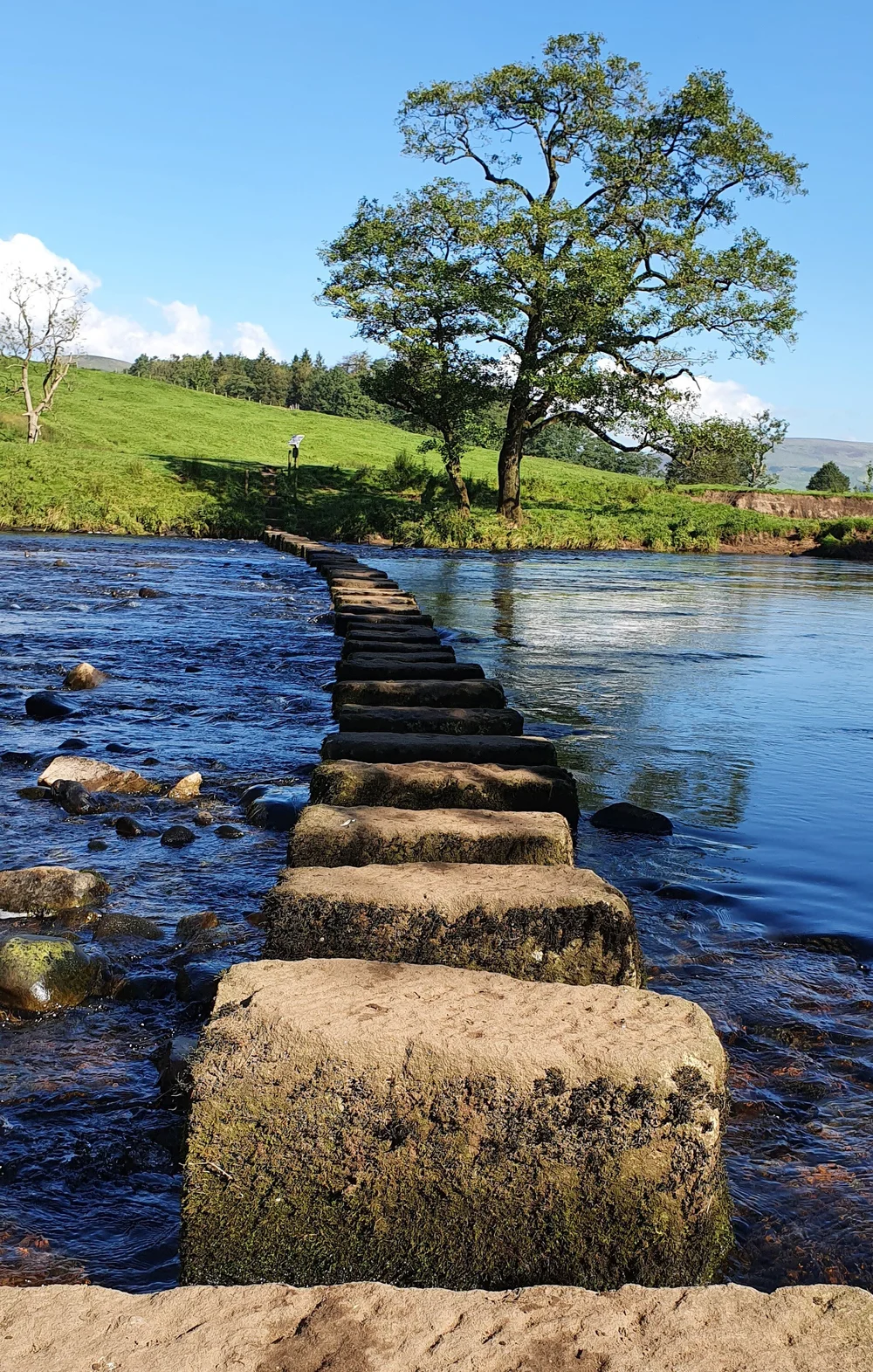 The Inn at Whitewell — The FatSteak Club