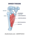 Pulled Groin or Torn Groin? How to Tell the Difference (and What to Do ...