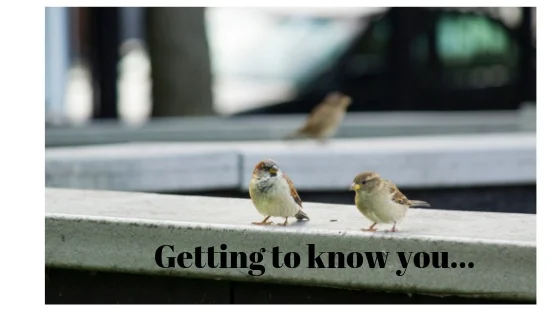 Getting to know you, getting to know all about you... — Twist Consultants