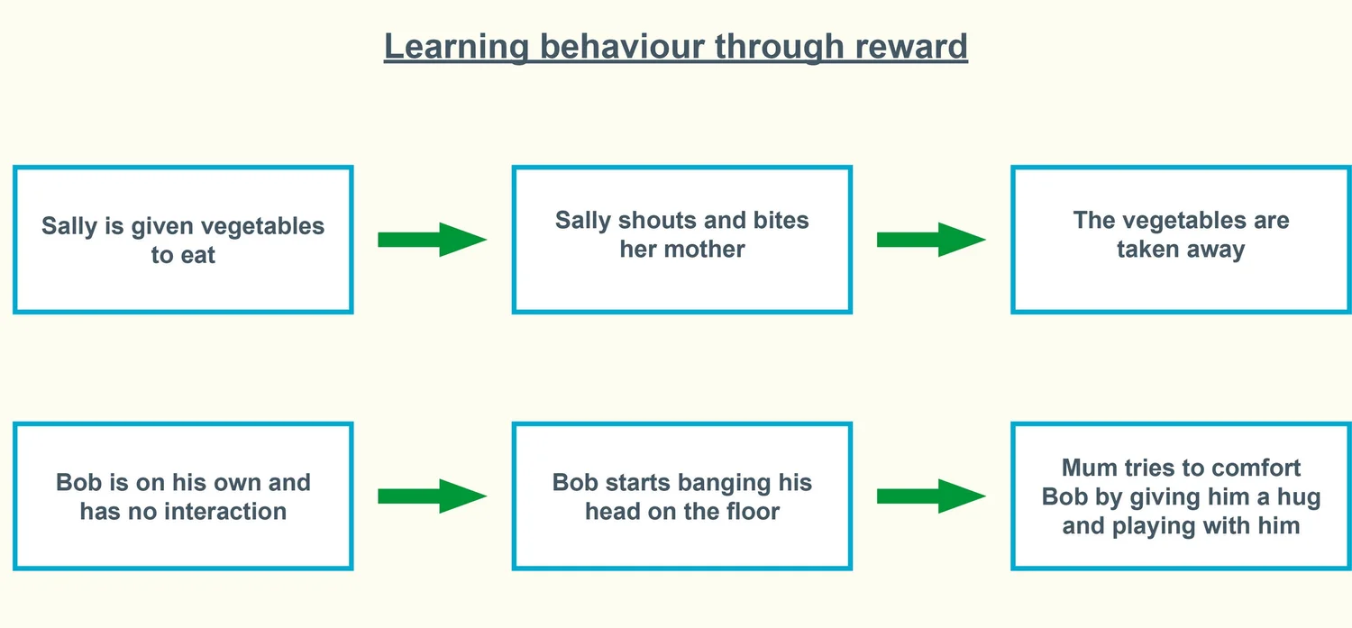 Challenging Behaviour — CAMHS