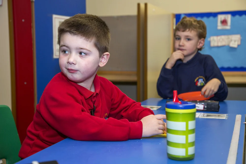 Staying at Home for Learning Disabled Young People — CAMHS