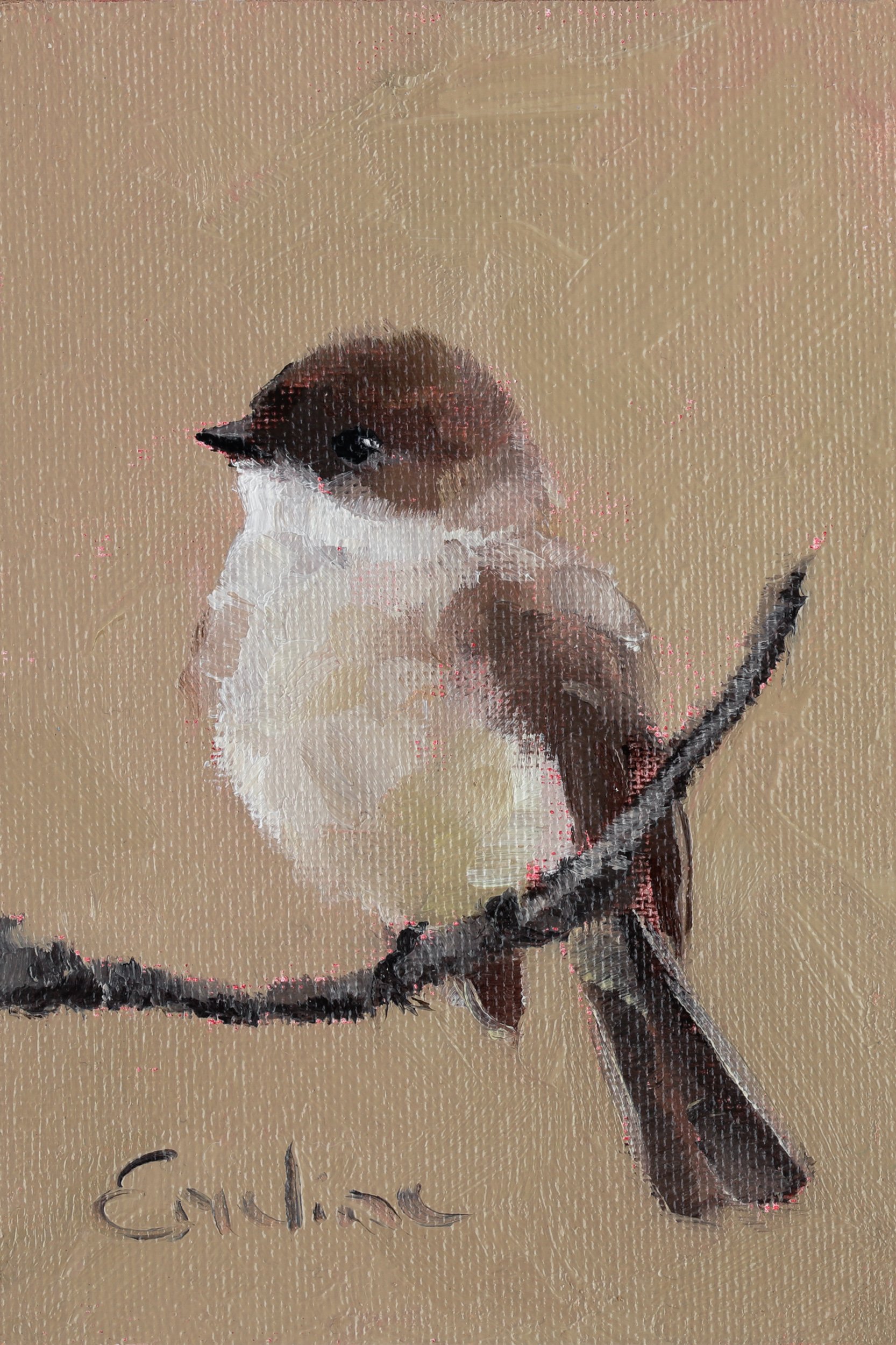 Shop Online — Emeline Watchorn