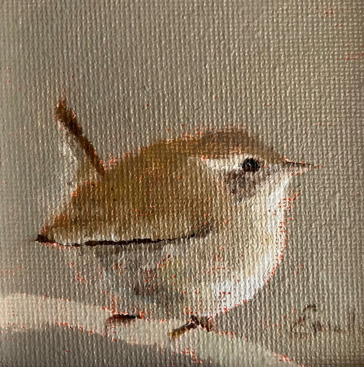 Shop Online — Emeline Watchorn