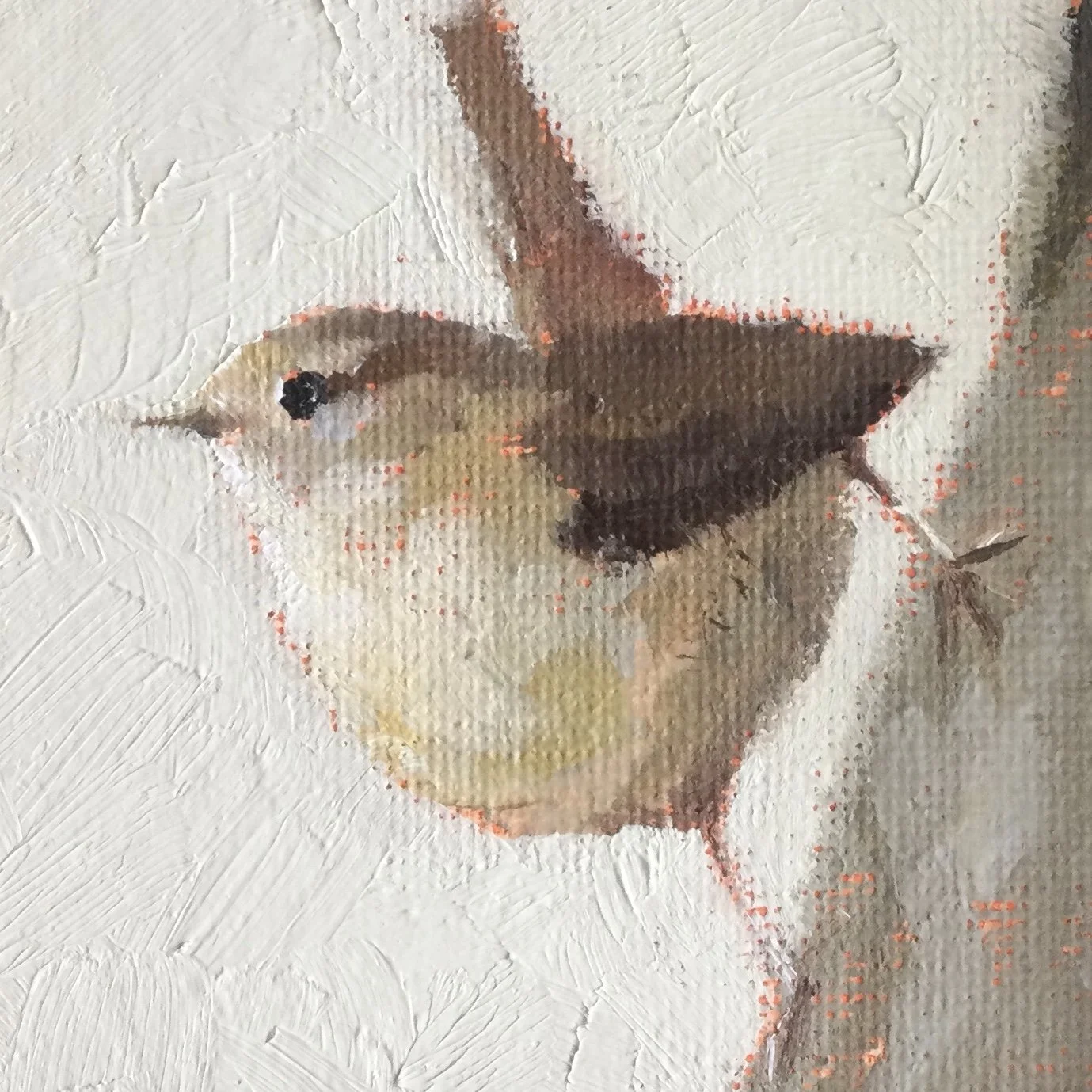 Shop Online — Emeline Watchorn