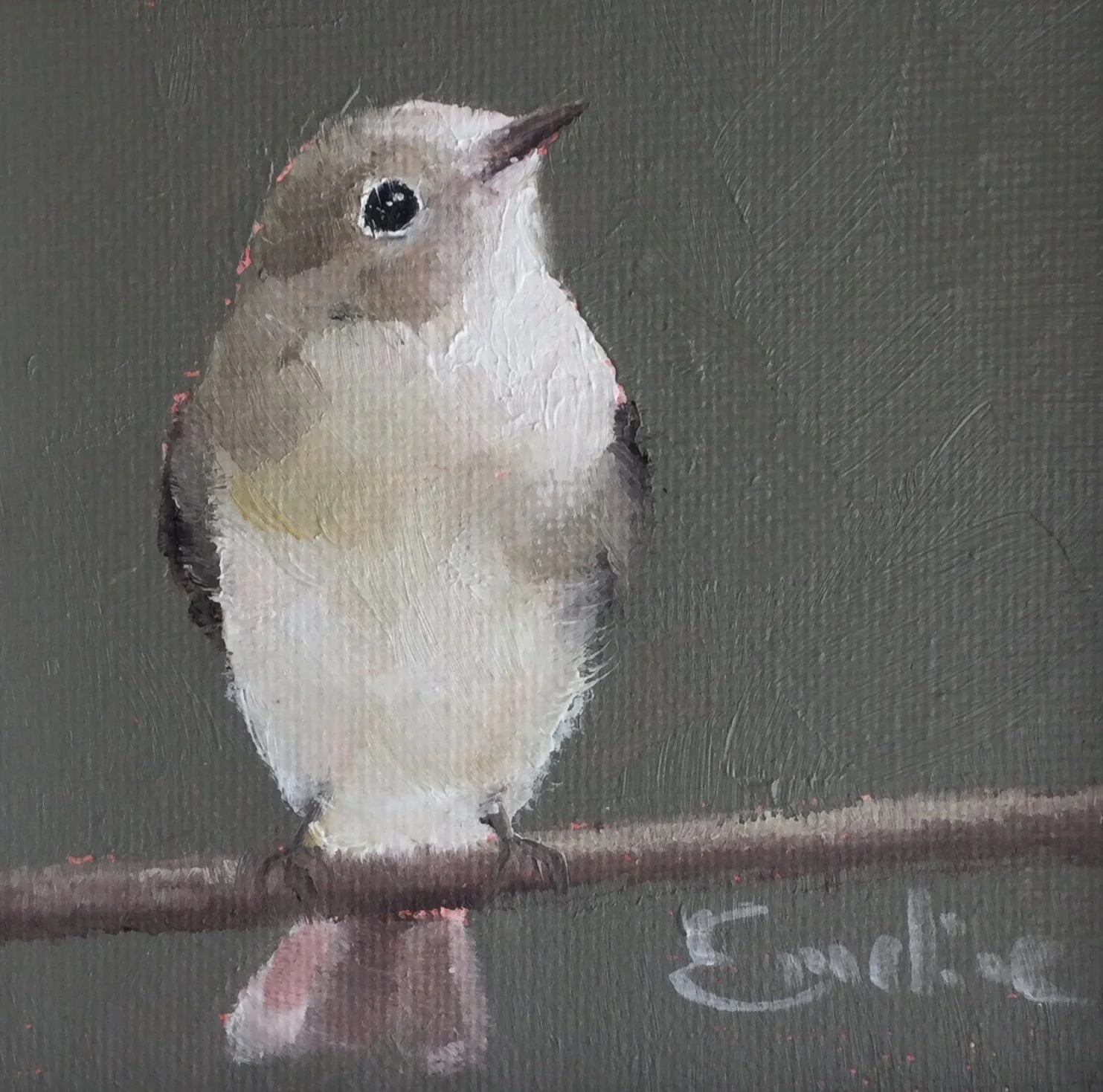 Shop Online — Emeline Watchorn