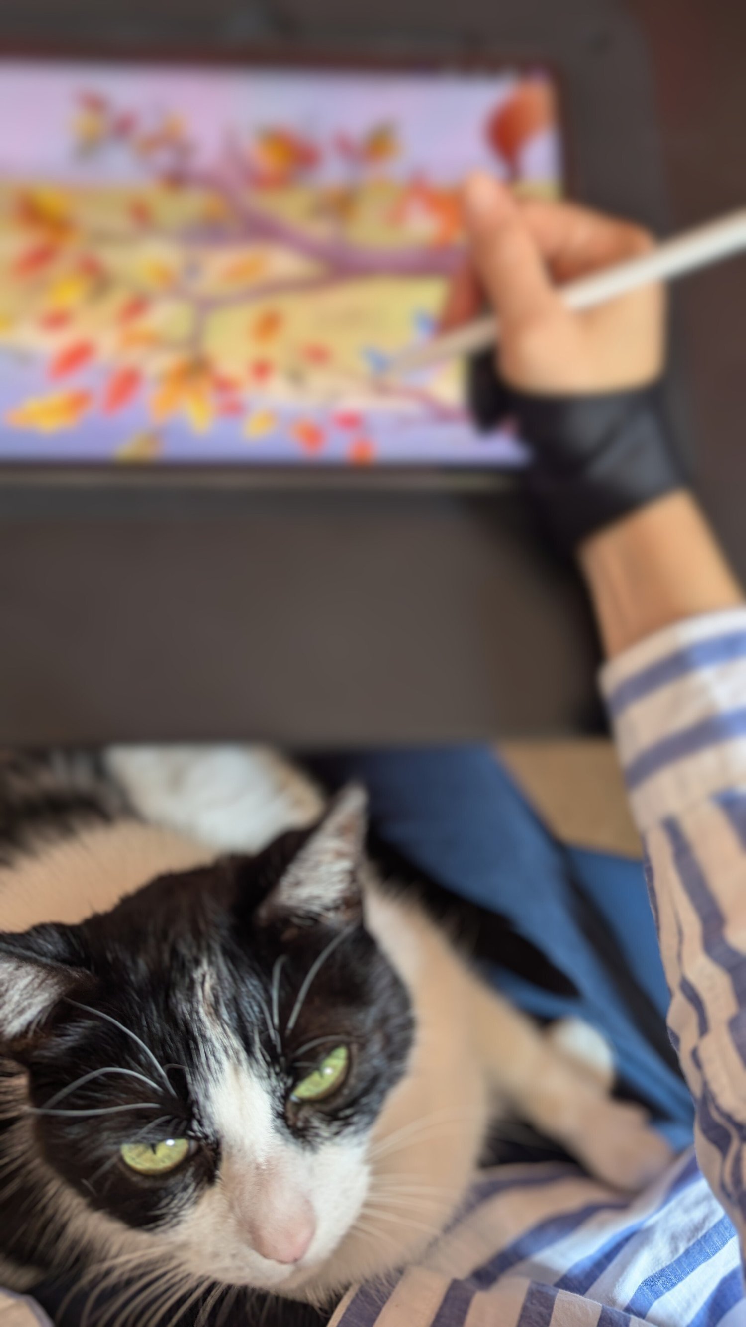 About children's book author-illustrator, Jo Lindley — Jo Lindley
