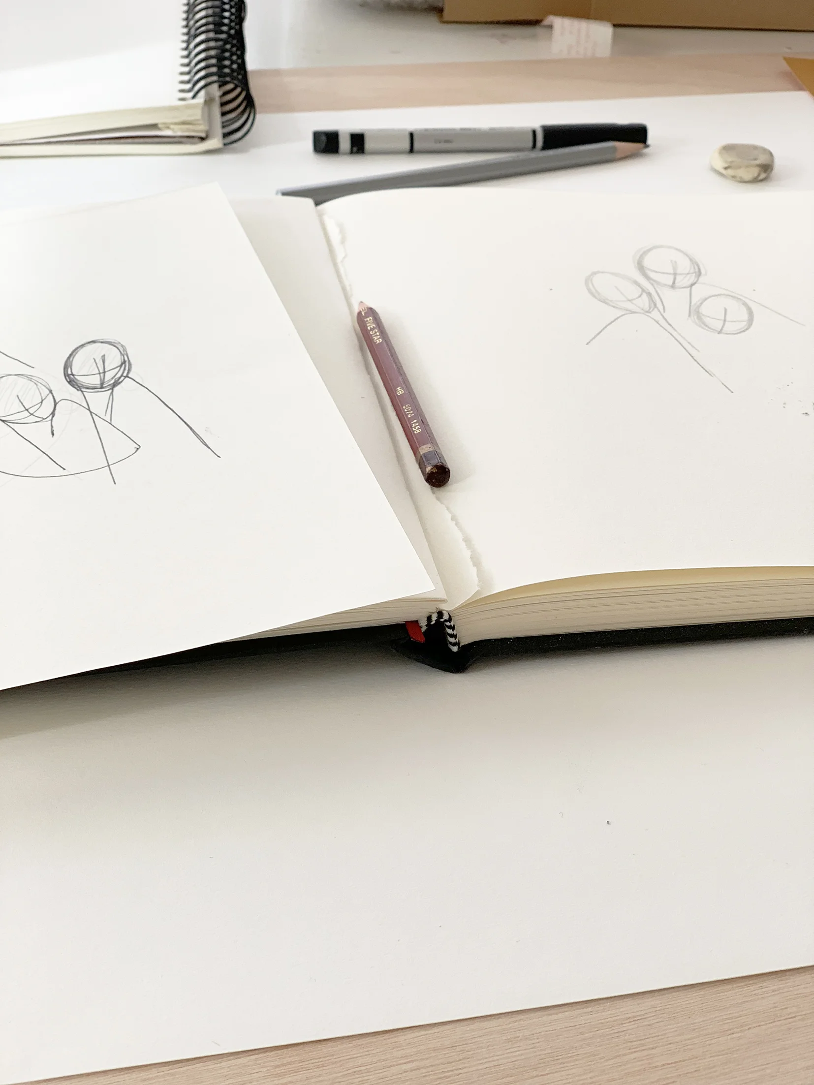 Seven Sisters — Johanna Rossi Art