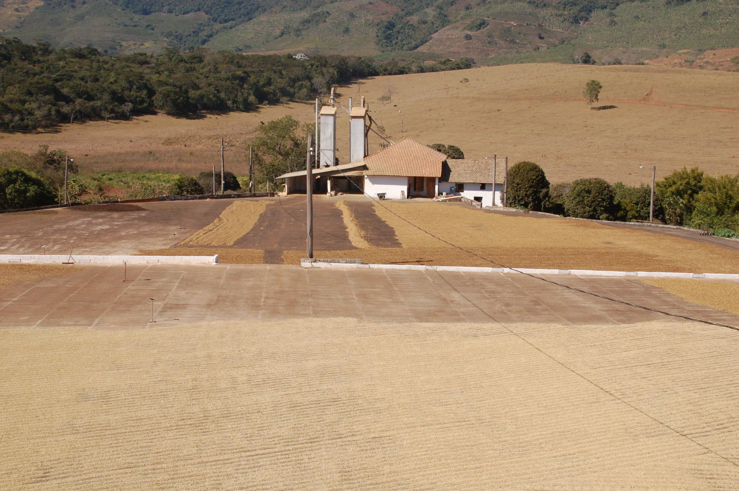 Brazil — Collaborative Coffee Source