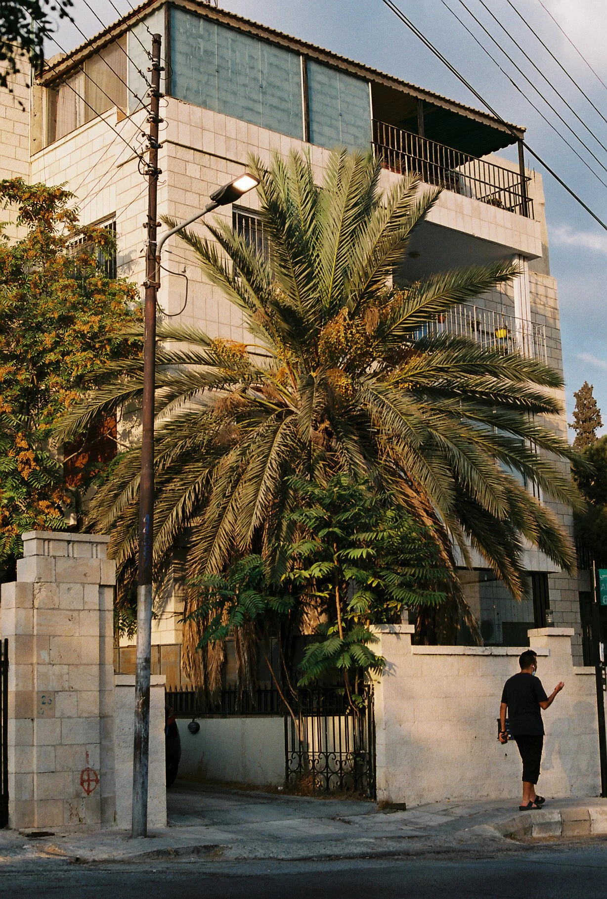 Returning to Amman — Amideast Education Abroad Connect