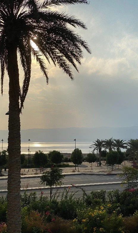 How I Spend my Days in the Ghor — Amideast Education Abroad Connect
