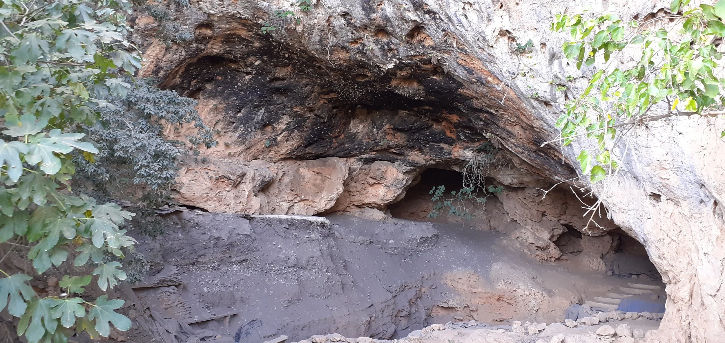 My Orange City — Amideast Education Abroad Connect