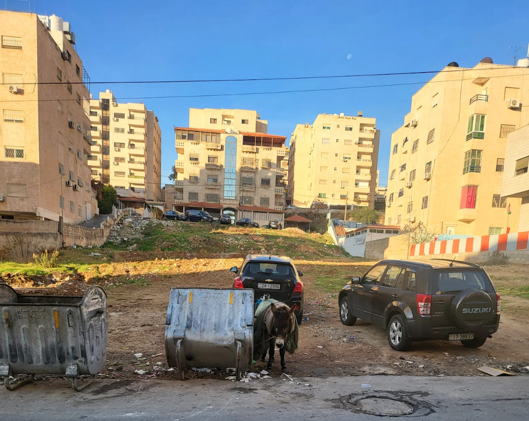 Going Green in Jordan: How to Recycle while in Amman — Amideast ...