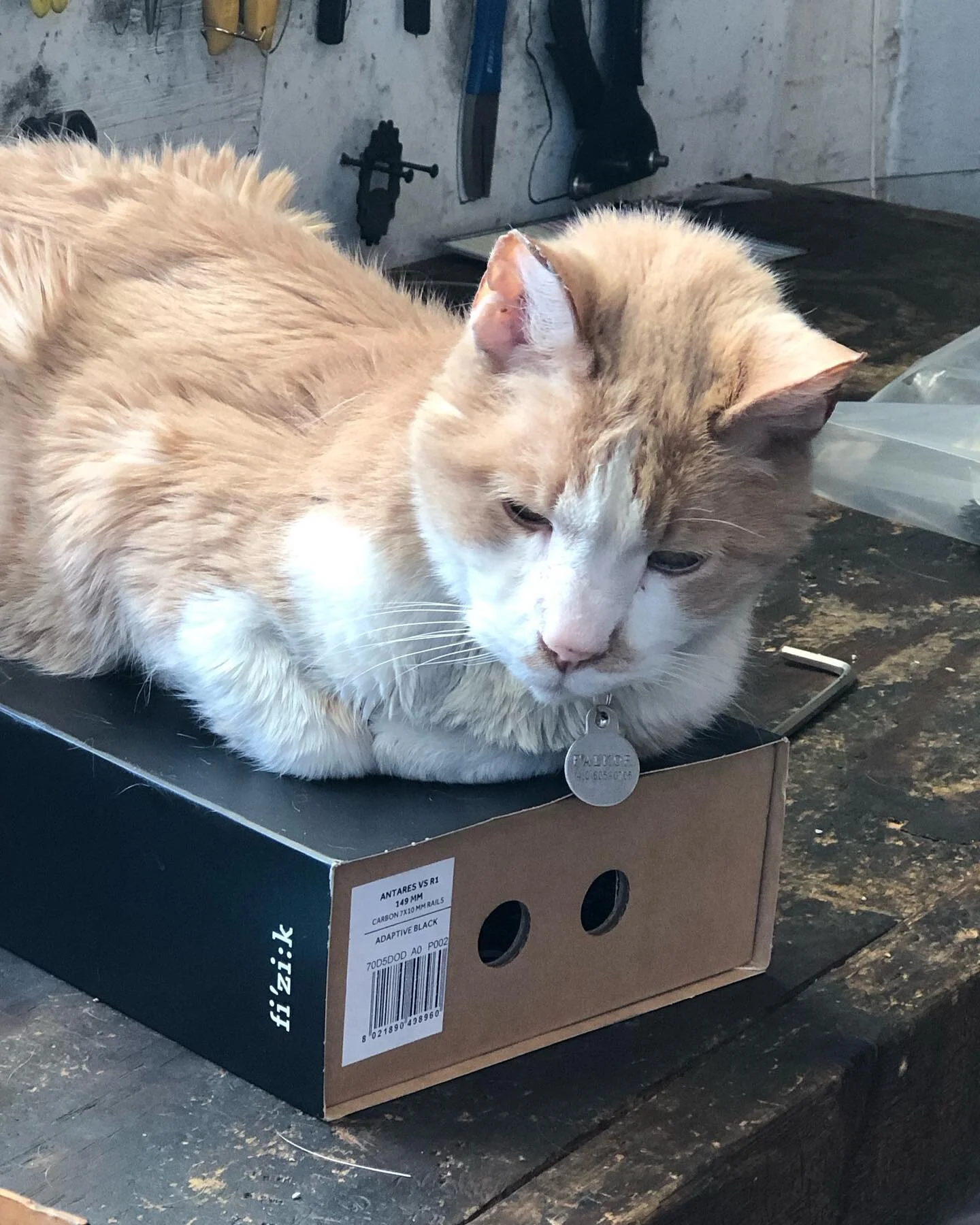 Baltimore Bicycle Works