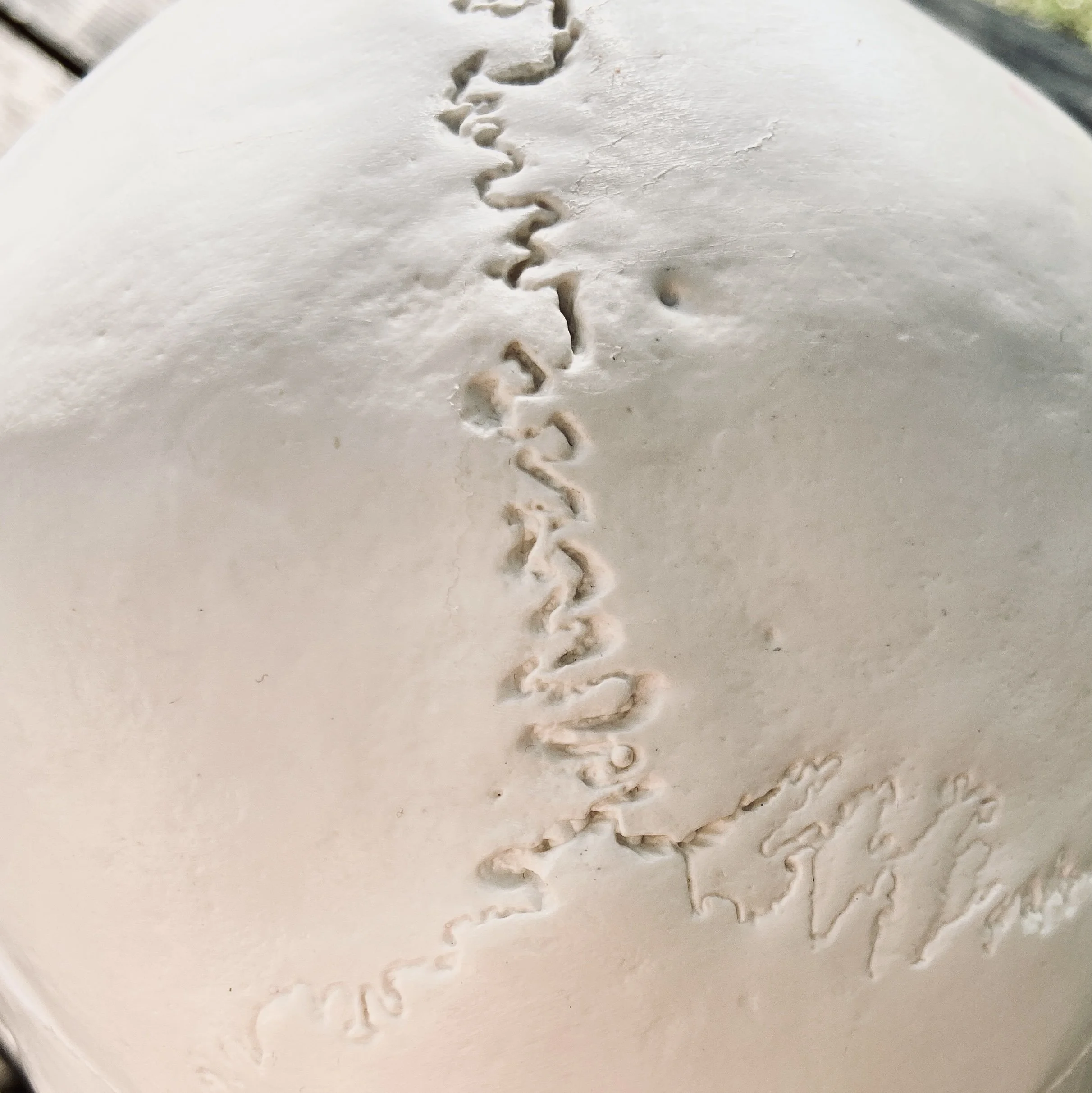 Heartwood Institute - Upcoming CranioSacral Courses — Treat Your Suture ...