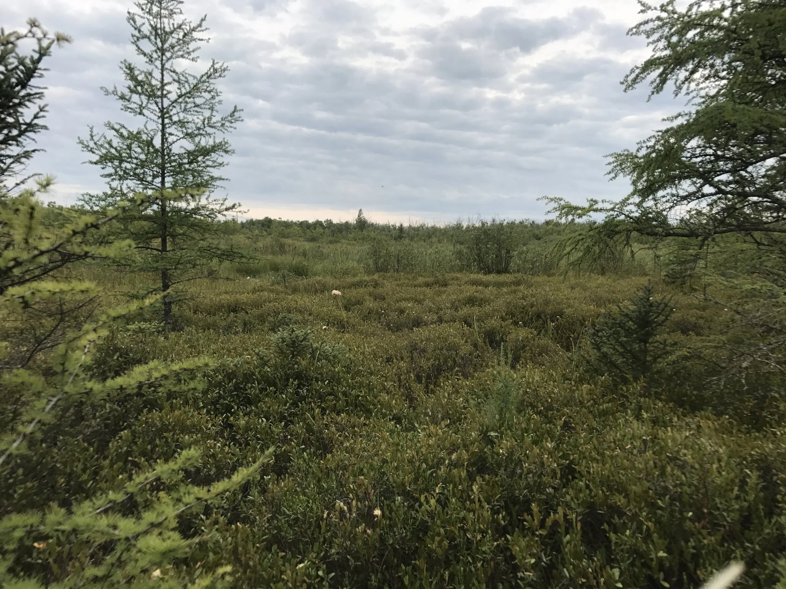 Technical Resources — MN WPA