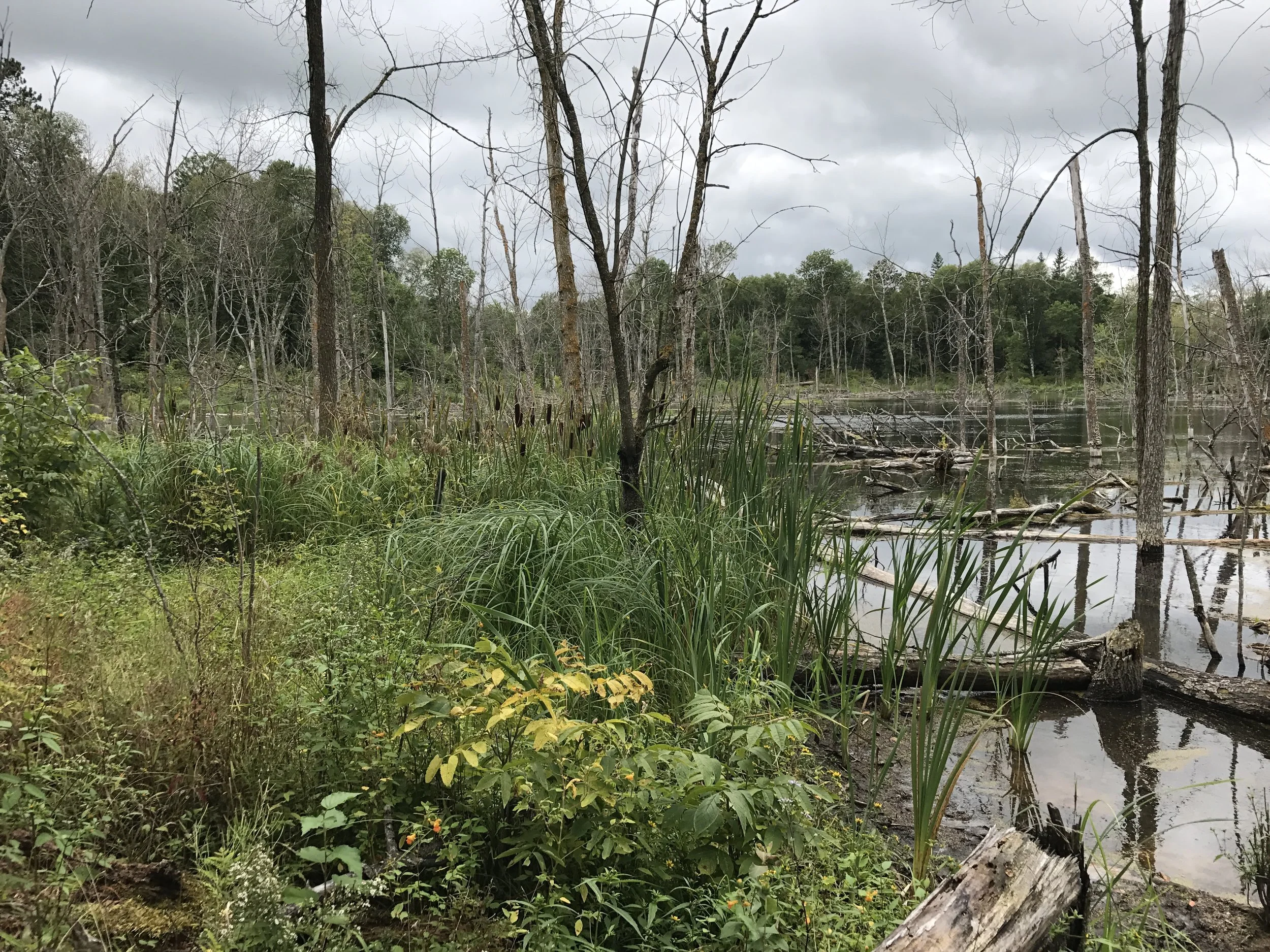 Events — MN WPA