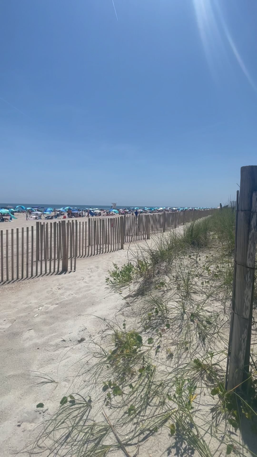 Adapt Kitchen & Juice Bar