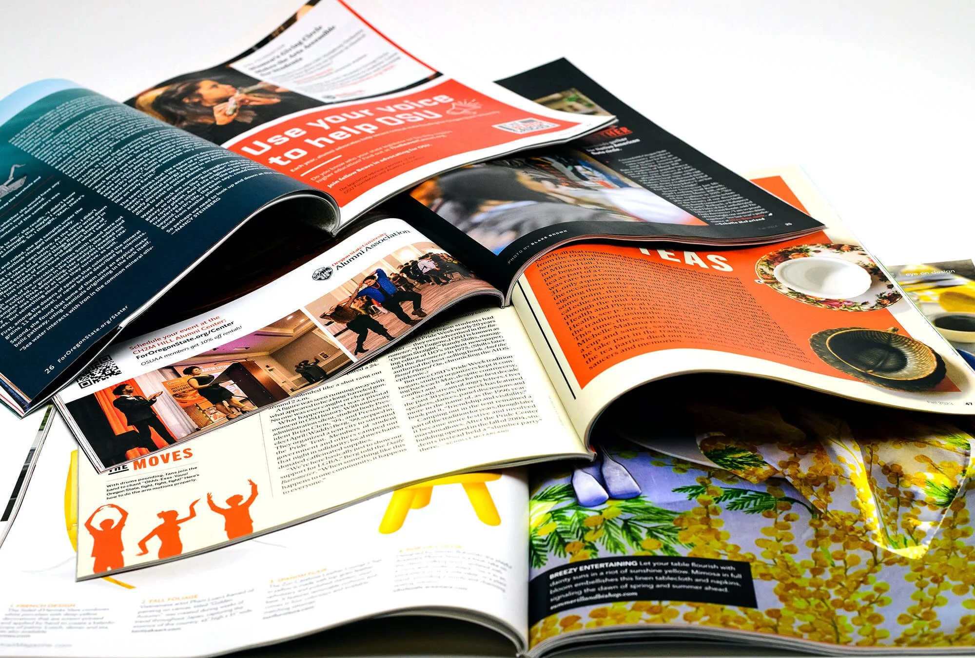 OUR COMPANY — Journal Graphics